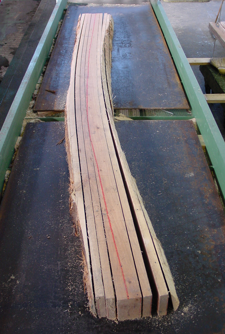 CurveSawing Gangs - Corley